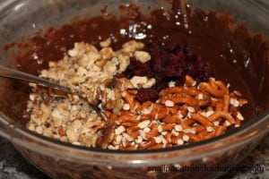 Chocolate Bark - Snail Pace Transformations