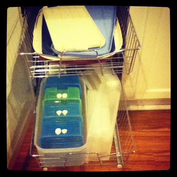 after lower - Snail Pace Transformations