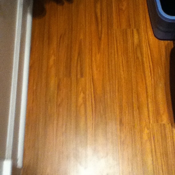 all shinny - Snail Pace Transformations