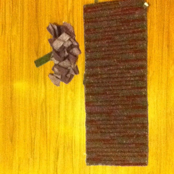 done - Snail Pace Transformations