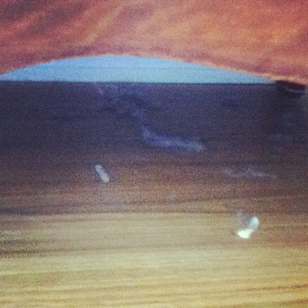 dust bunnies - Snail Pace Transformations