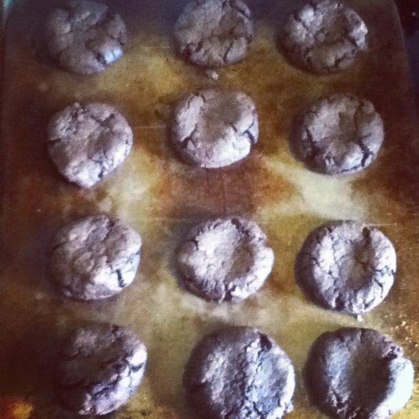 final cookies - Snail Pace Transformations