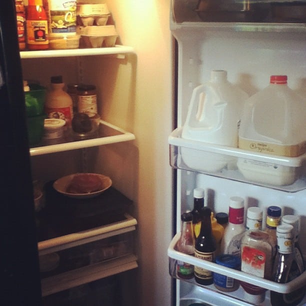 fridge done - Snail Pace Transformations