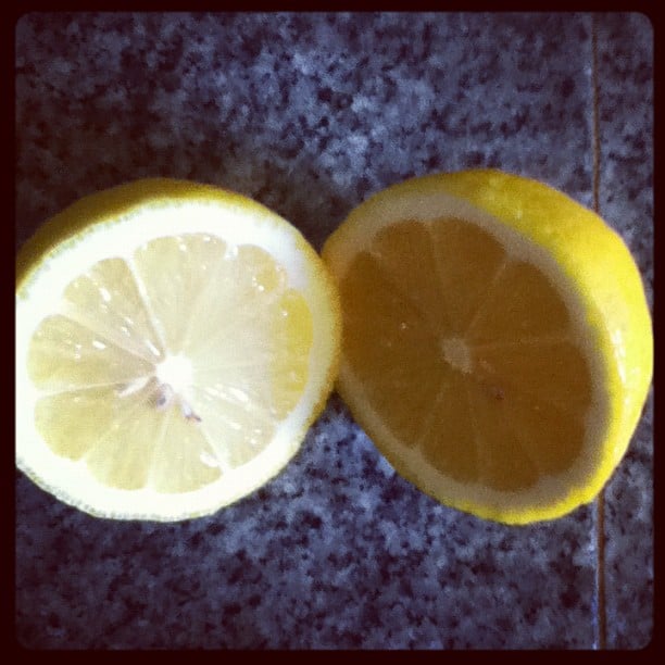 lemons - Snail Pace Transformations