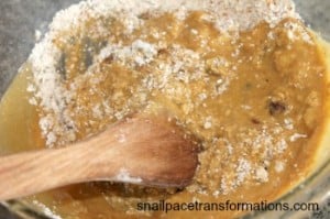 No Bake Energy Bars - Snail Pace Transformations