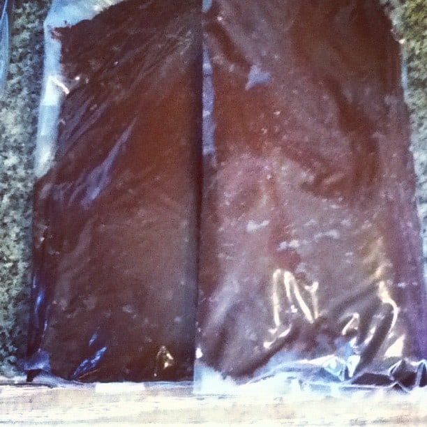 brownie bite dough - Snail Pace Transformations