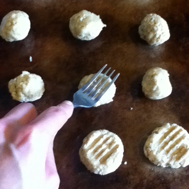 cookie squishing - Snail Pace Transformations