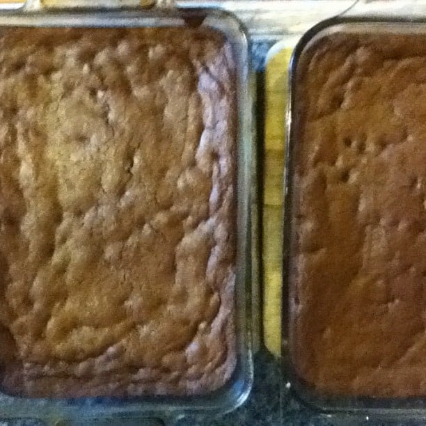 brownies all done - Snail Pace Transformations