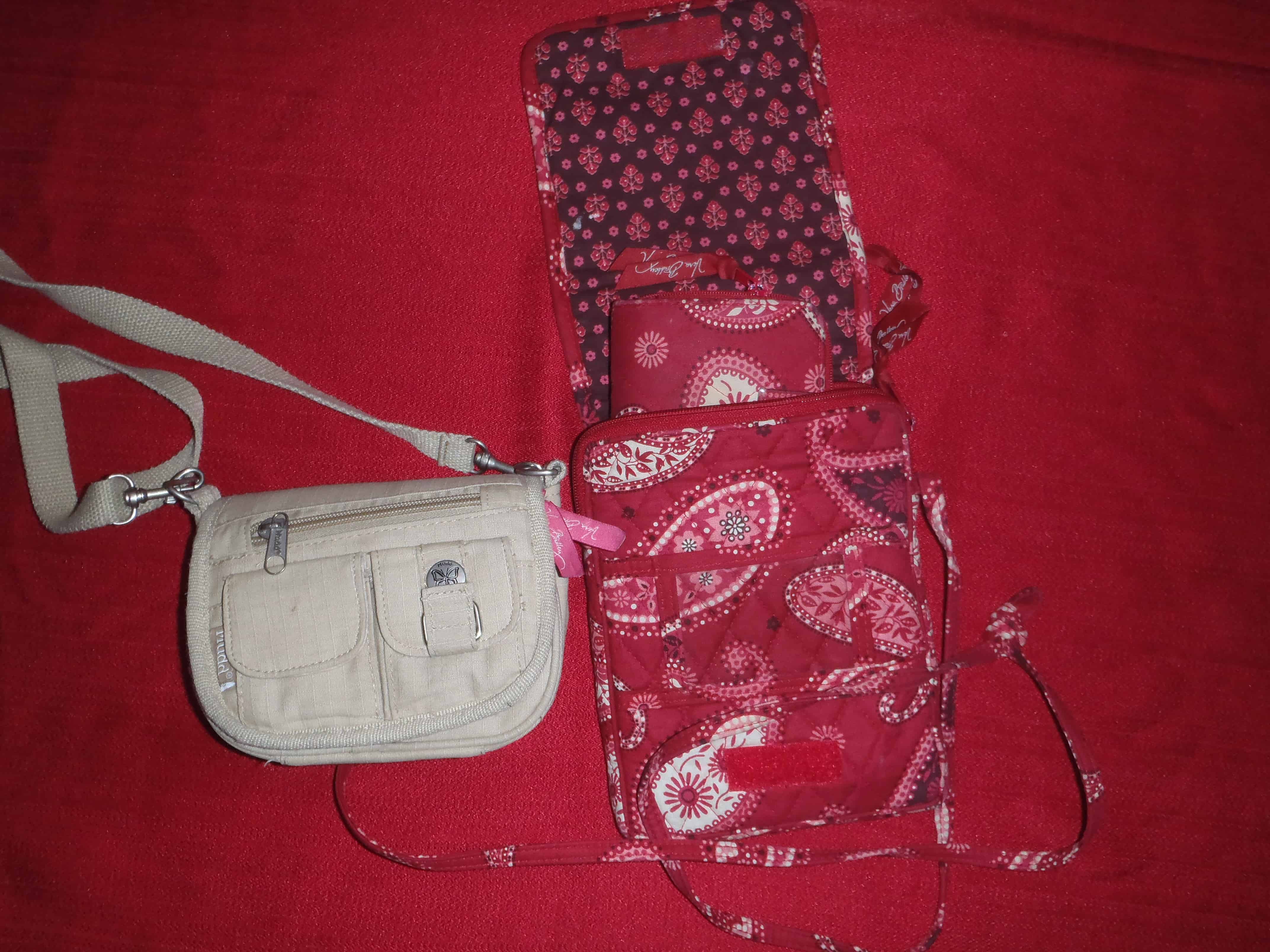 OLYMPUS DIGITAL CAMERA - Snail Pace Transformations