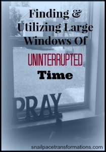 Time Management Tip 3: Where Are Your Largest Windows - Snail Pace Transformations