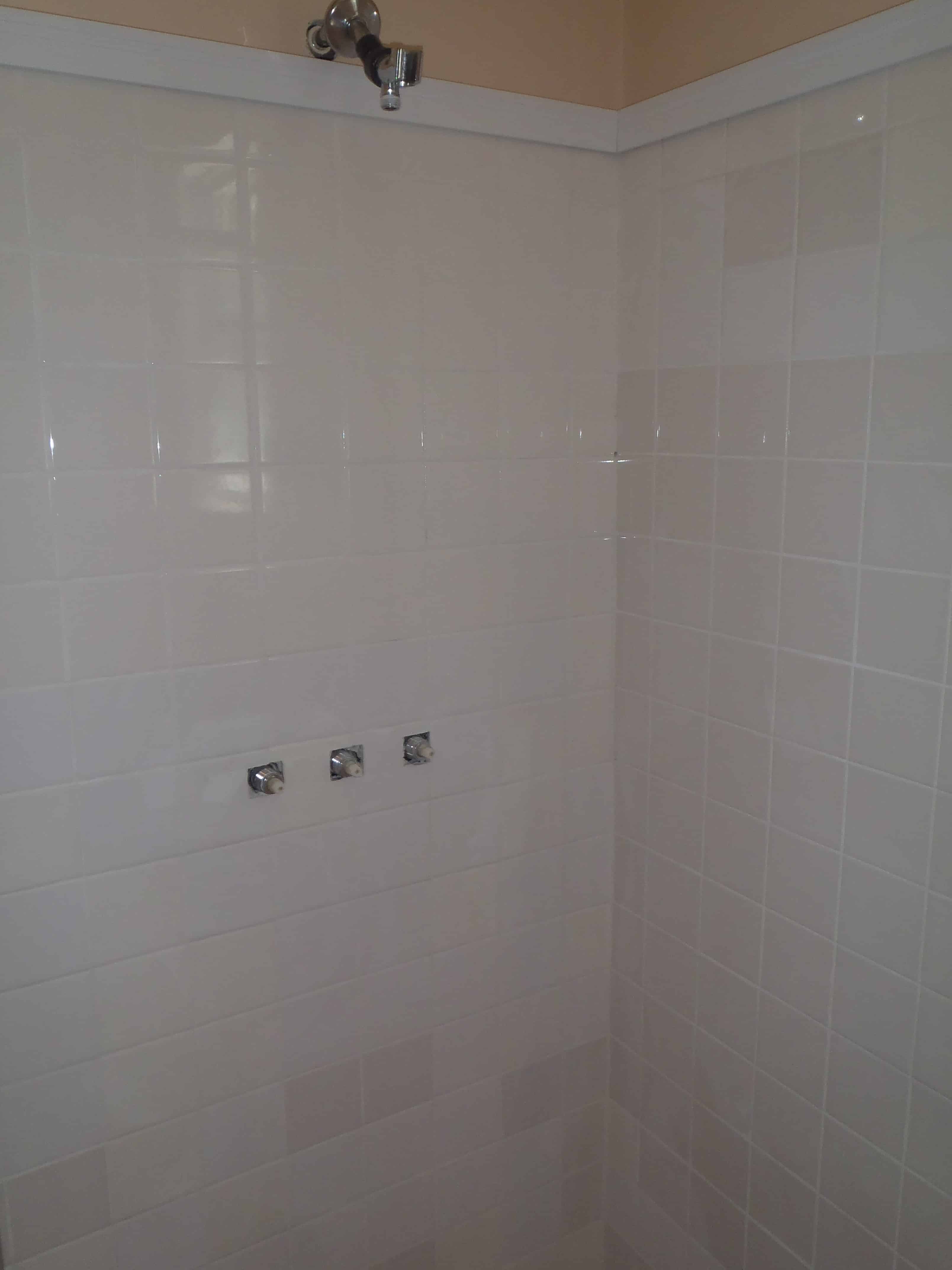 shower-renovation - Snail Pace Transformations