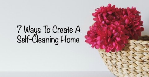 self-cleaning home (fb) - Snail Pace Transformations