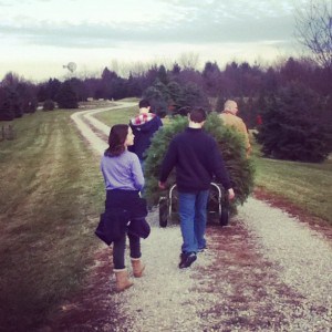 family-and-tree - Snail Pace Transformations