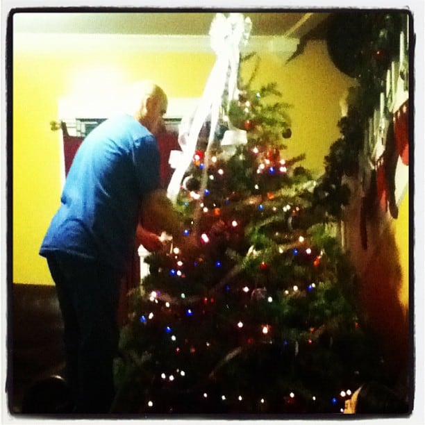 final-touches-tree - Snail Pace Transformations