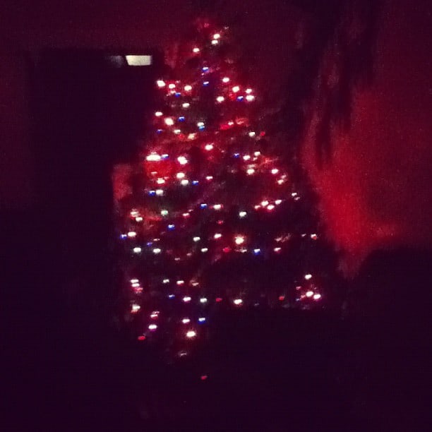 lights-on-tree - Snail Pace Transformations