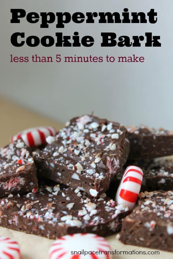 peppermint cookie bark - Snail Pace Transformations