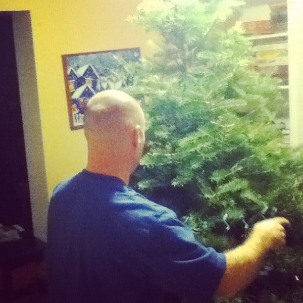 tree-decorator - Snail Pace Transformations