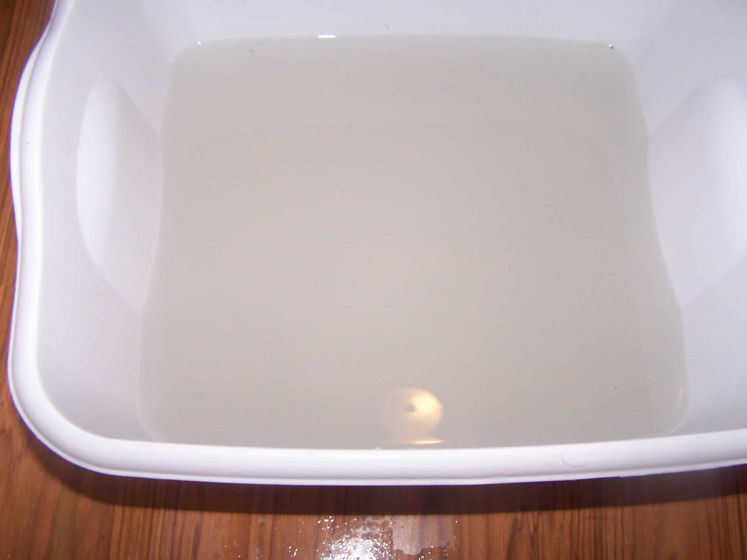 dirty-cleaning-water - Snail Pace Transformations