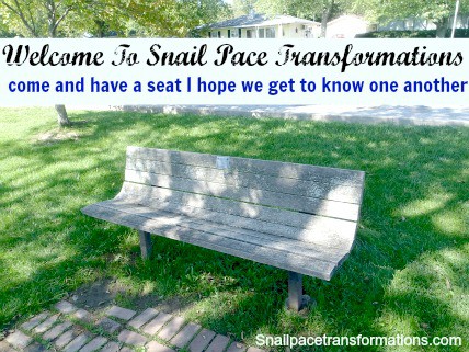 Welcome To Snail Pace Transformations - Snail Pace Transformations