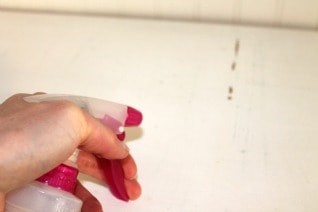 cleaning spray - Snail Pace Transformations