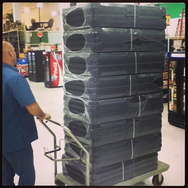 shelves - Snail Pace Transformations