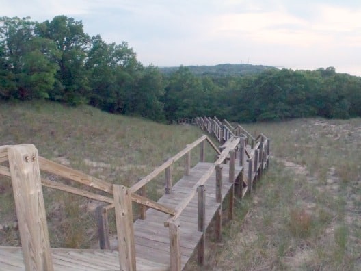 OLYMPUS DIGITAL CAMERA - Snail Pace Transformations