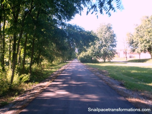 OLYMPUS DIGITAL CAMERA - Snail Pace Transformations