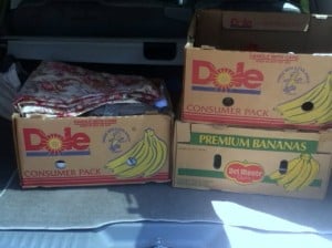 boxes - Snail Pace Transformations