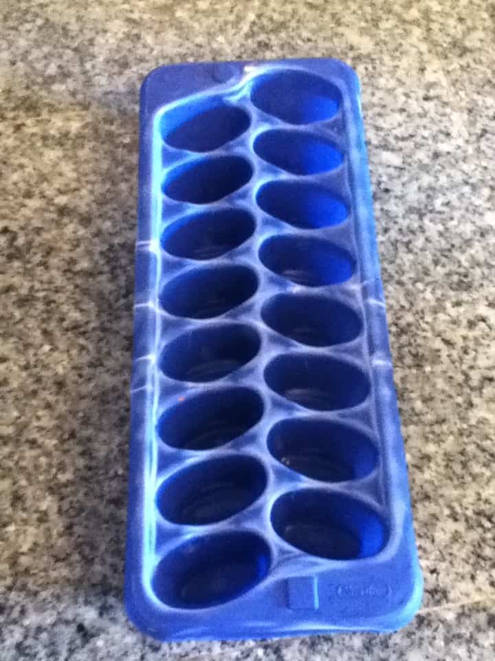 gone - Snail Pace Transformations