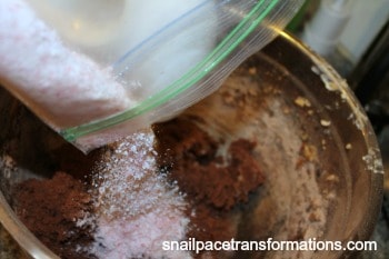 chocolate batter - Snail Pace Transformations