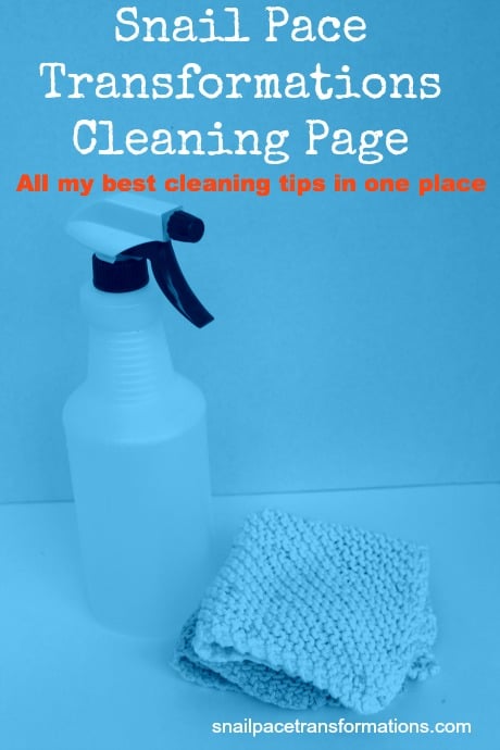 snail pace transformations cleaning page - Snail Pace Transformations