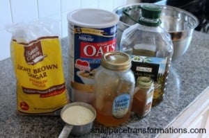 Recipe For Simple Plain Granola: Add Whatever You Want To It! - Snail Pace Transformations