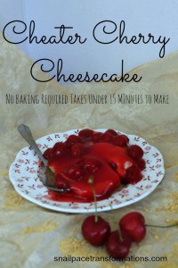 Cheater Cherry Cheesecake - Snail Pace Transformations