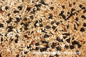 No Bake Chocolate Nut Bars - Snail Pace Transformations