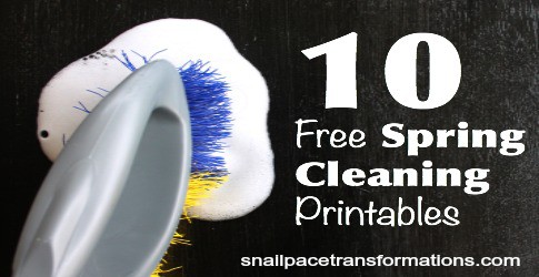 10 free cleaning printables (fb) - Snail Pace Transformations