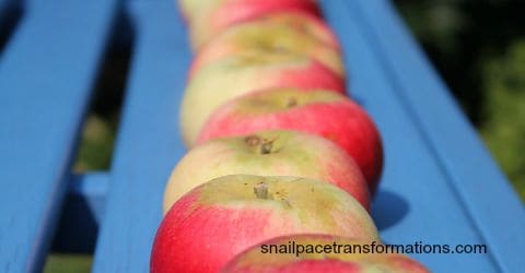 healthy living (fb) - Snail Pace Transformations