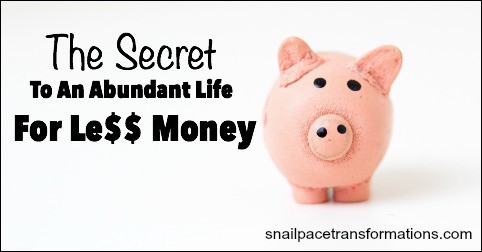 abundant life (fb) - Snail Pace Transformations