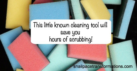 scrubbing tool (fb) - Snail Pace Transformations