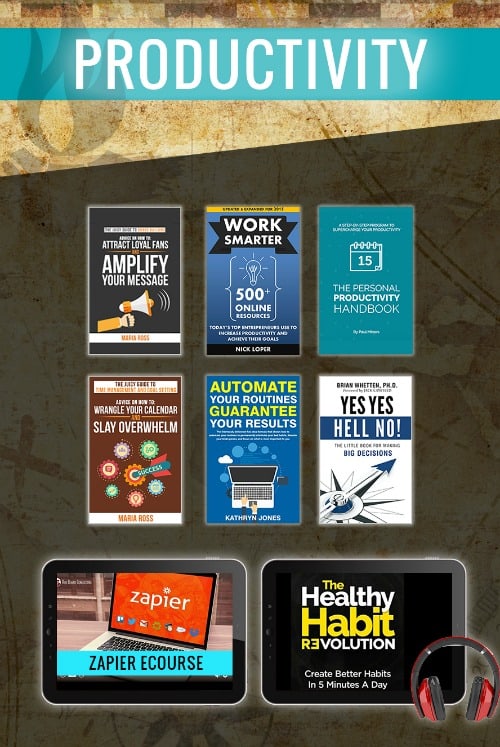 Productivity bundle - Snail Pace Transformations