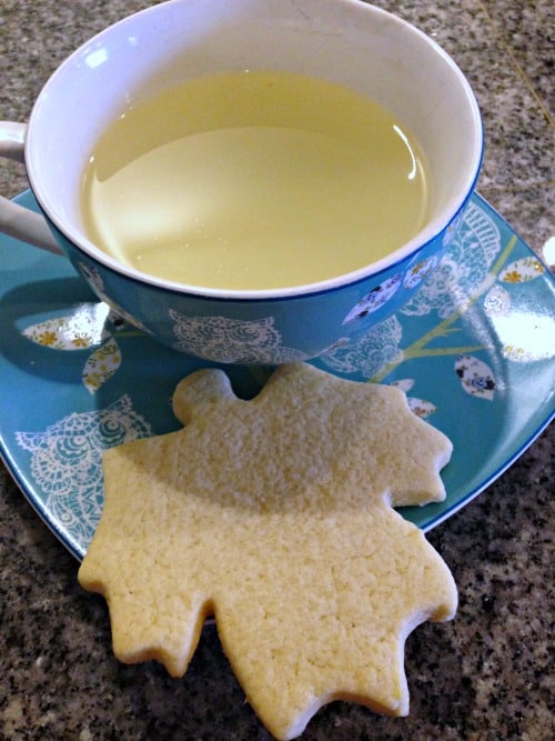 thanksgiving-sugar-cookies - Snail Pace Transformations