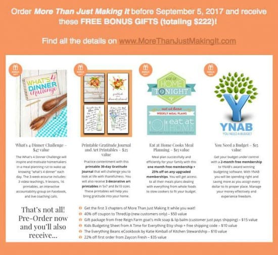 More Than Just Making It (bonus package) - Snail Pace Transformations