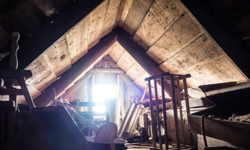 attic (fb) - Snail Pace Transformations